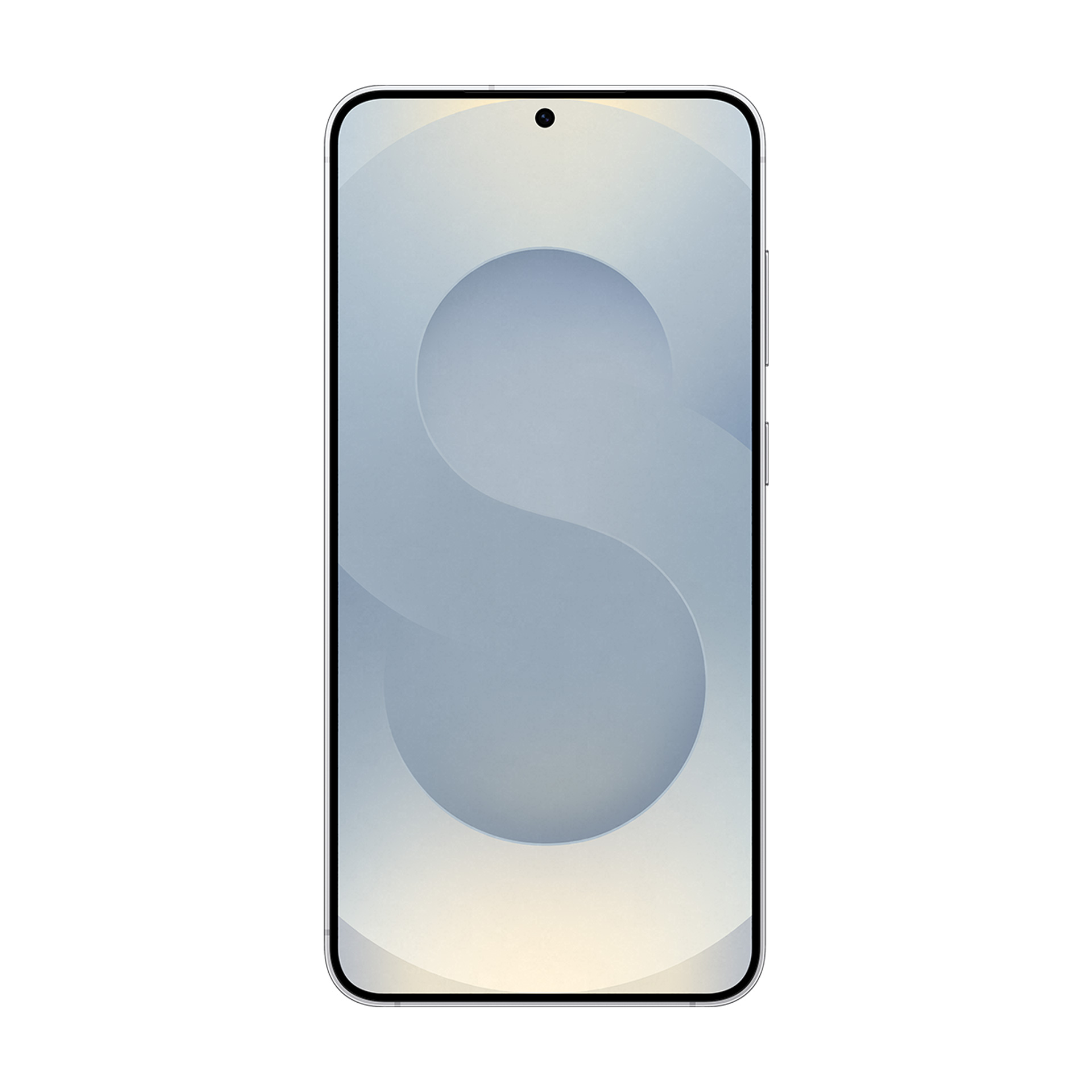 Samsung S936 Galaxy S25 Plus 12/256 GB Telefon Gümüş | Evkur