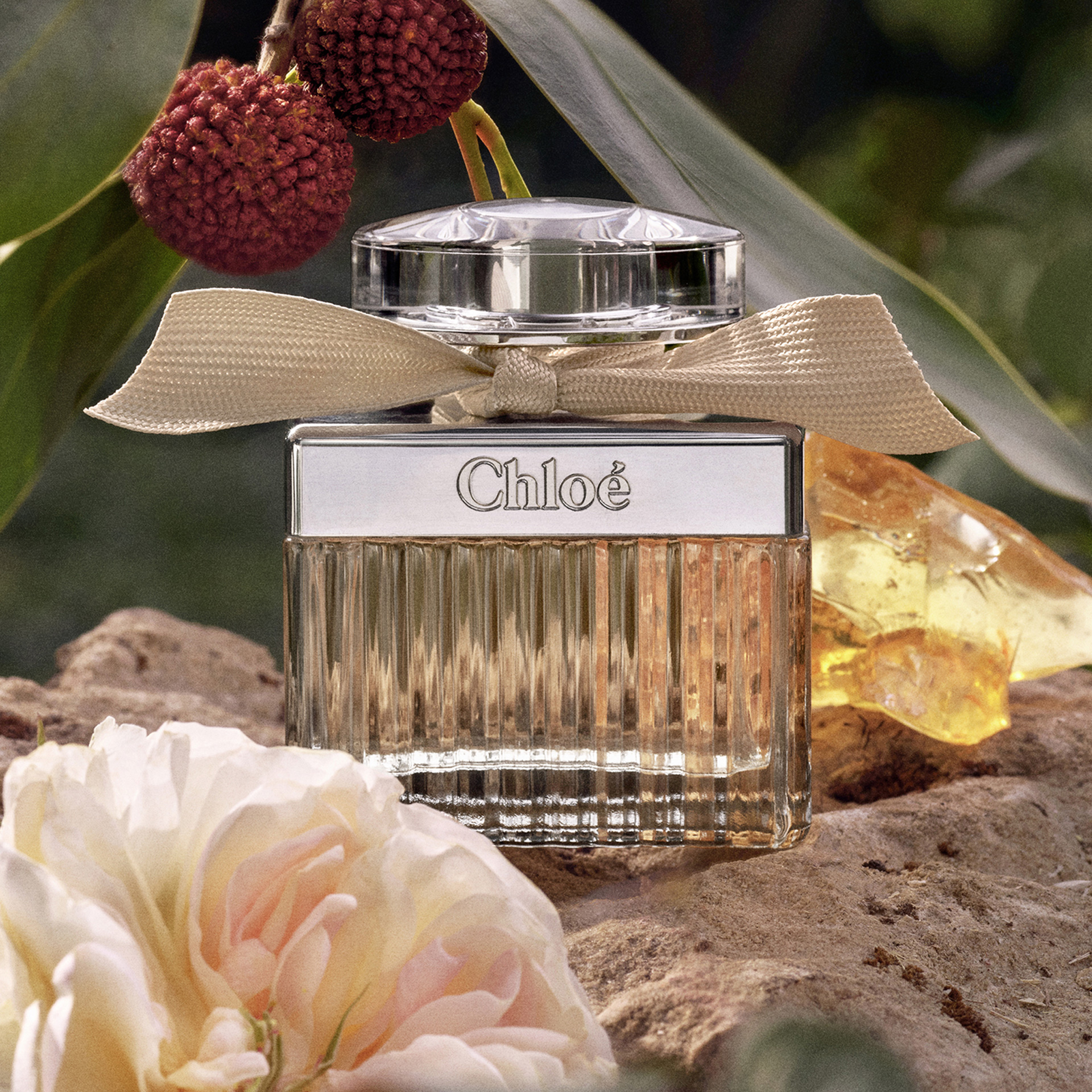 Chloe Signature Edp 30 ml Kadın Parfüm I Evkur